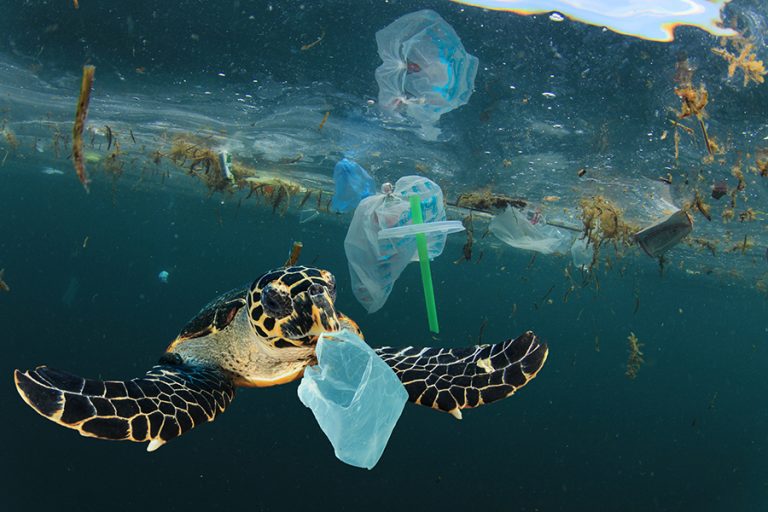 Sustainability – Setter